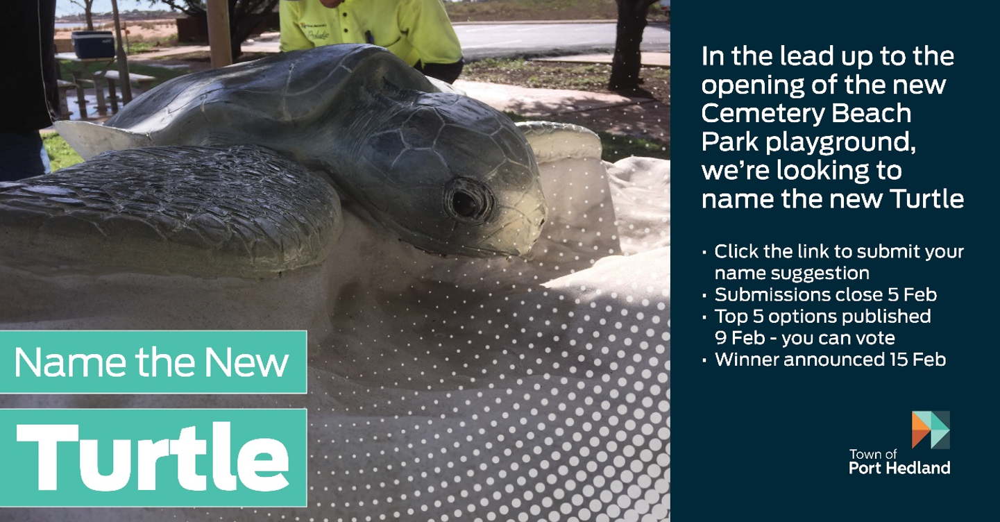 News Story - Name the New Turtle at Cemetery Beach Park Playground ...
