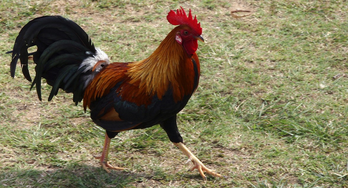 Latest News » Town of Port Hedland